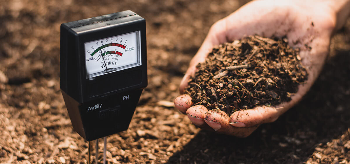 Best Soil Testing Companies in Islamabad: A Complete Guide